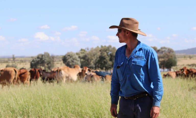 Matthew Marshall - AgSolutions