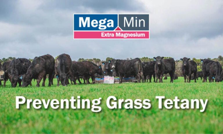 Preventing Grass Tetany - AgSolutions