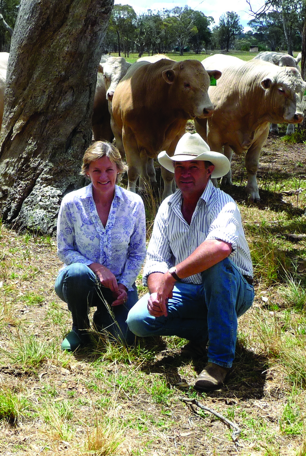 David & Prue Bondfield - AgSolutions