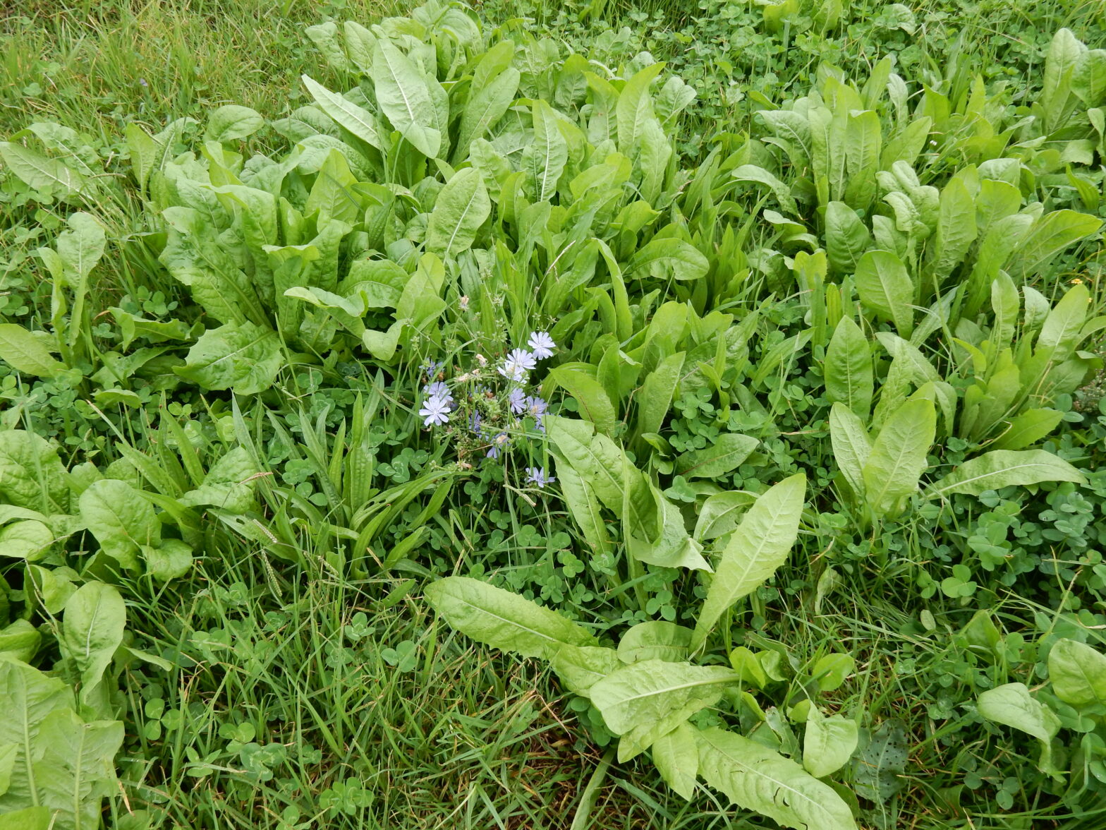 Steve & Robyn Mathers - AgSolutions