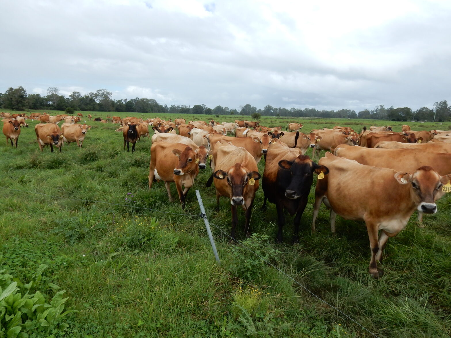 Steve & Robyn Mathers - AgSolutions