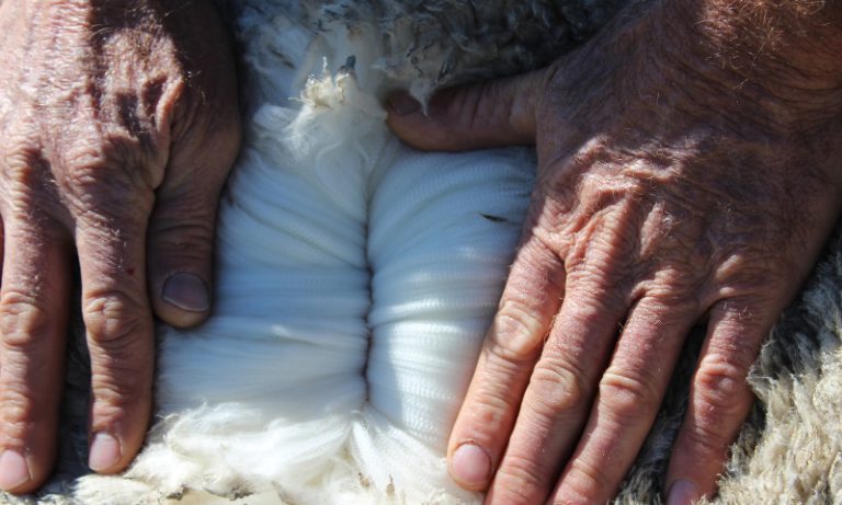 David Sweeny - AgSolutions