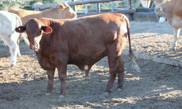 Ashley & Maryellen Volz - AgSolutions