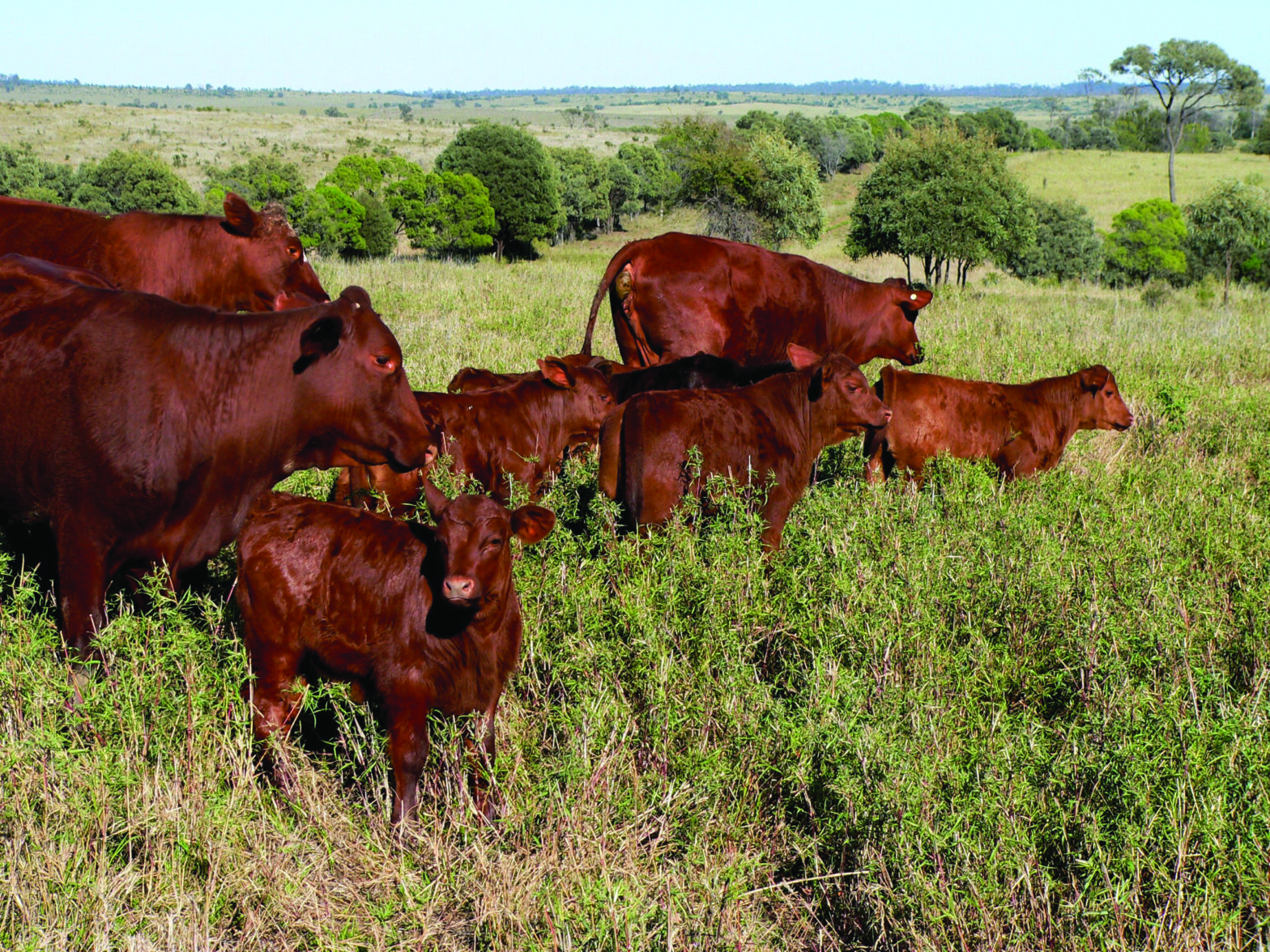 Wes & Sue Presho - AgSolutions