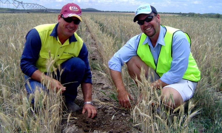 Whyalla Feedlot - AgSolutions