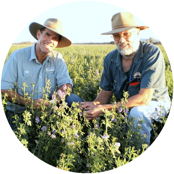 Customer Stories - AgSolutions