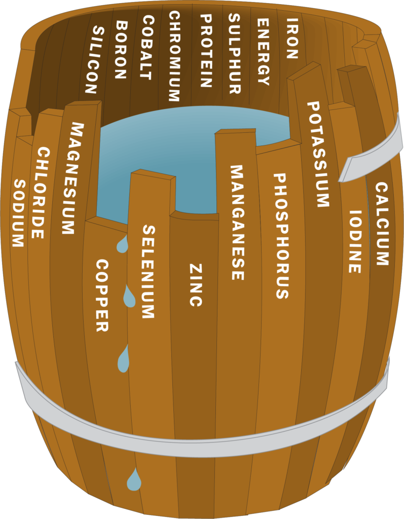 Mineral Livestock Supplements | Cattle Supplements & More