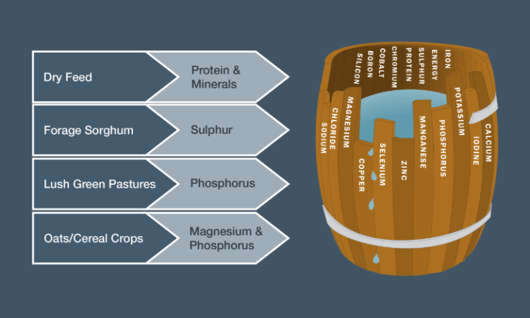 The principle of the Primary Limiting Nutrient - AgSolutions