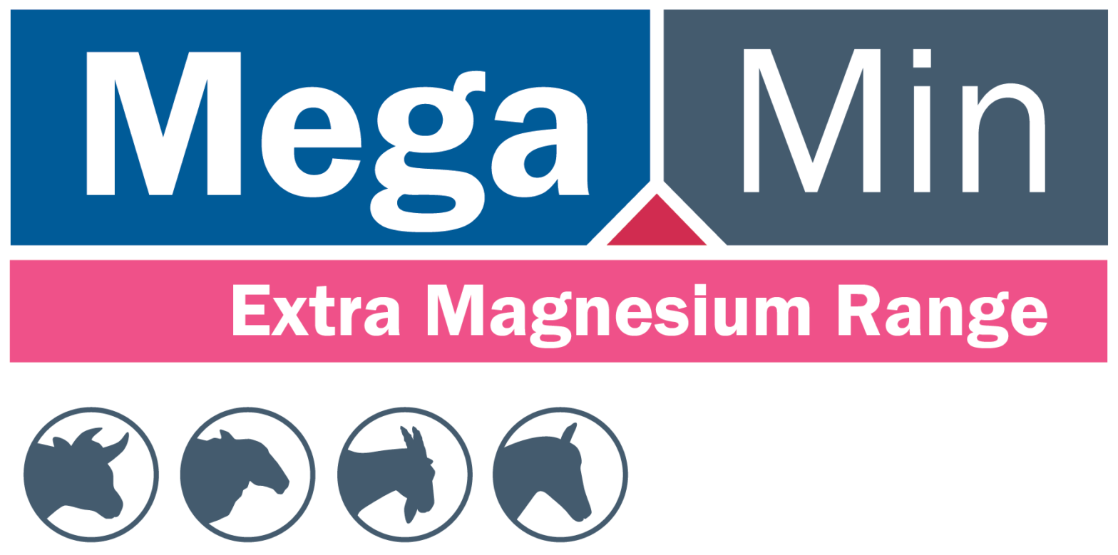 Cattle Supplements - AgSolutions