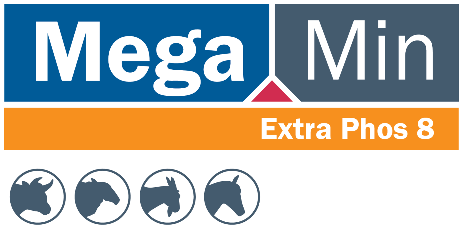 Cattle Supplements - AgSolutions