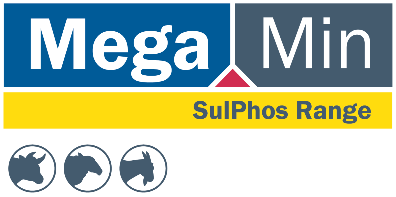 Sheep Supplements - AgSolutions