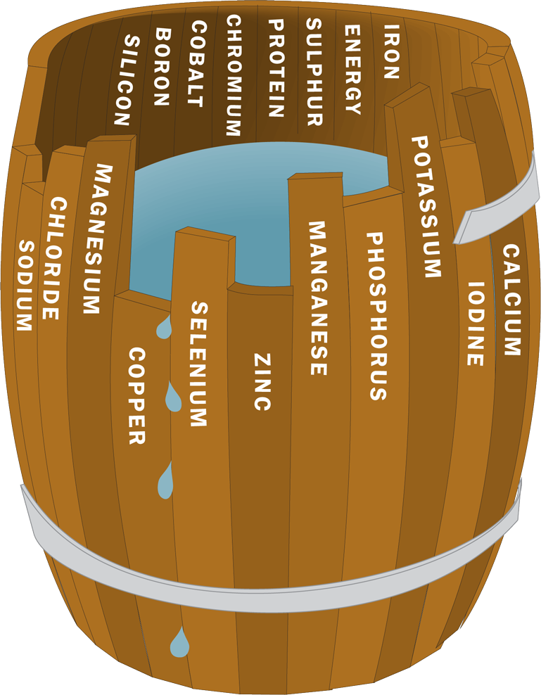 Loose Supplement - AgSolutions