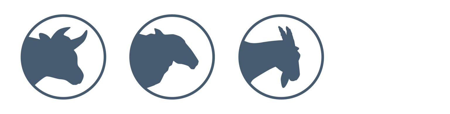 MegaMin SulPhos Block - AgSolutions