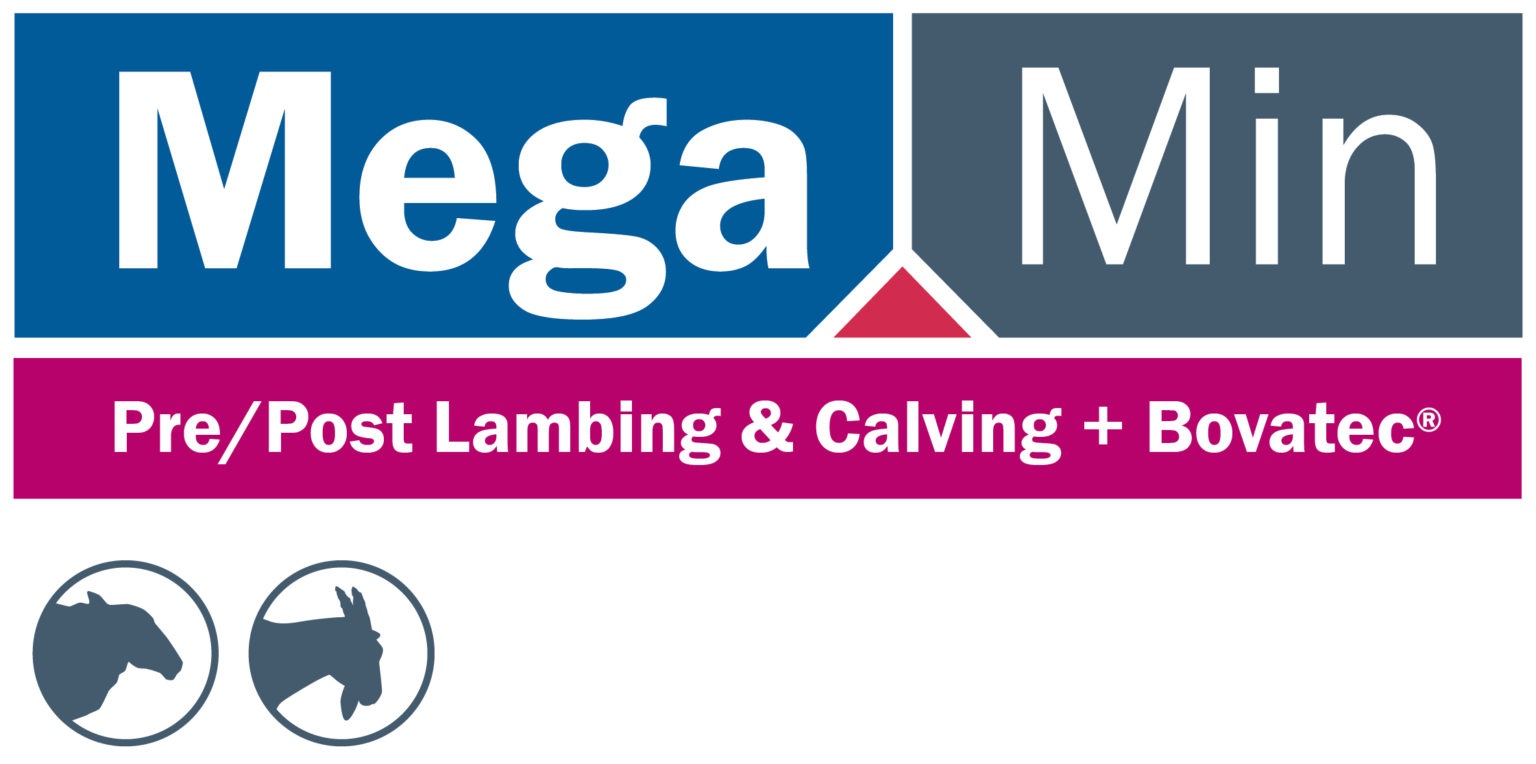 Cattle Supplements - AgSolutions