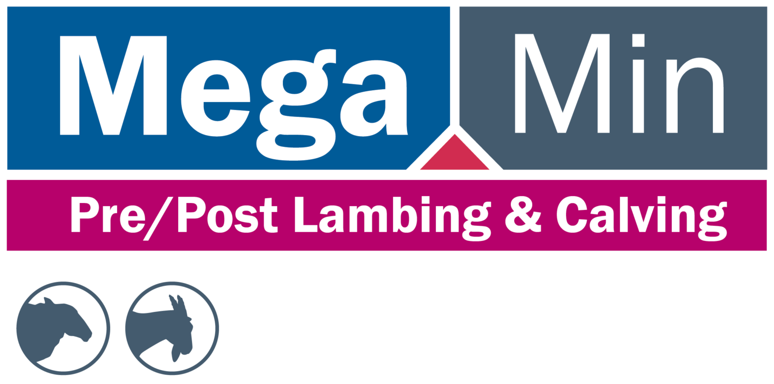 Sheep Supplements - AgSolutions