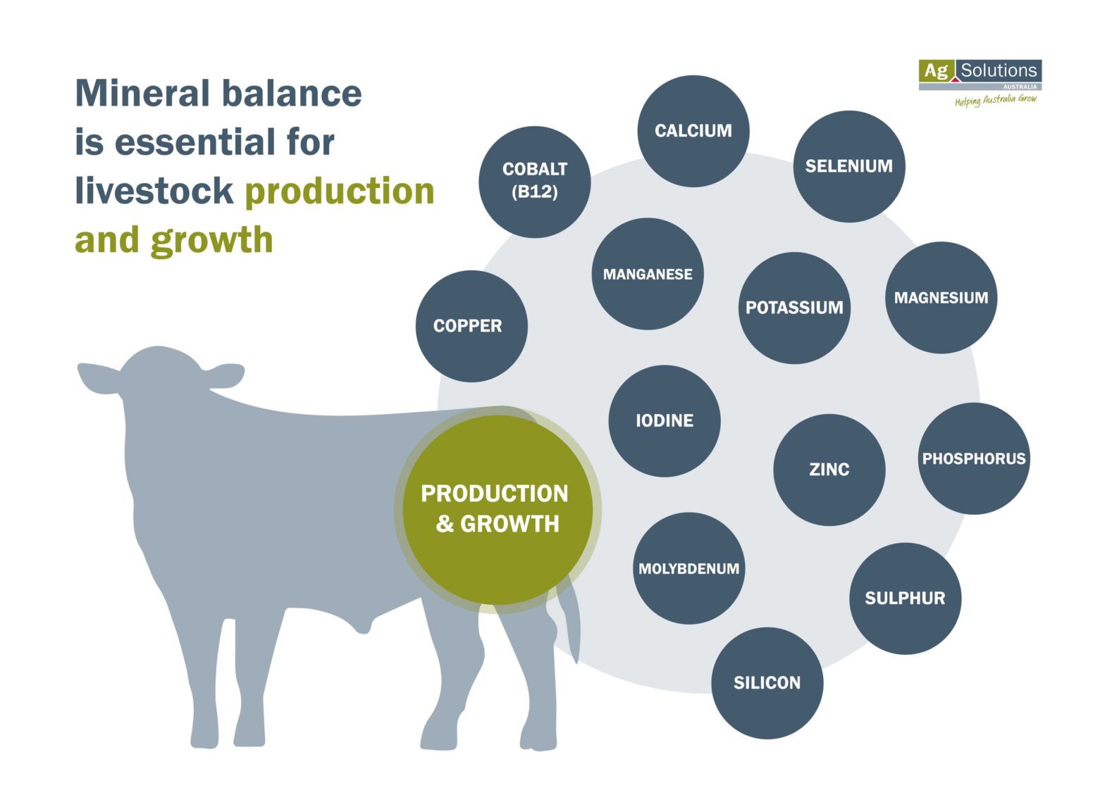 Ration Formulation - AgSolutions