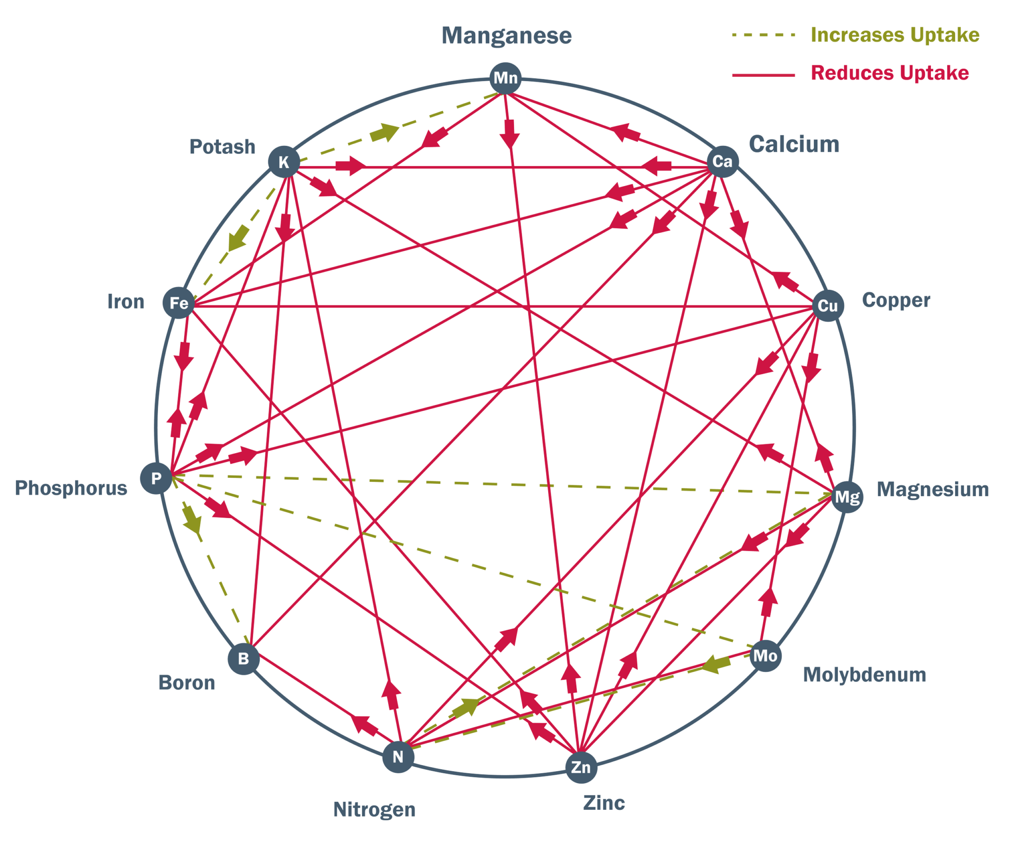 A comprehensive program to restore soil fertility - AgSolutions