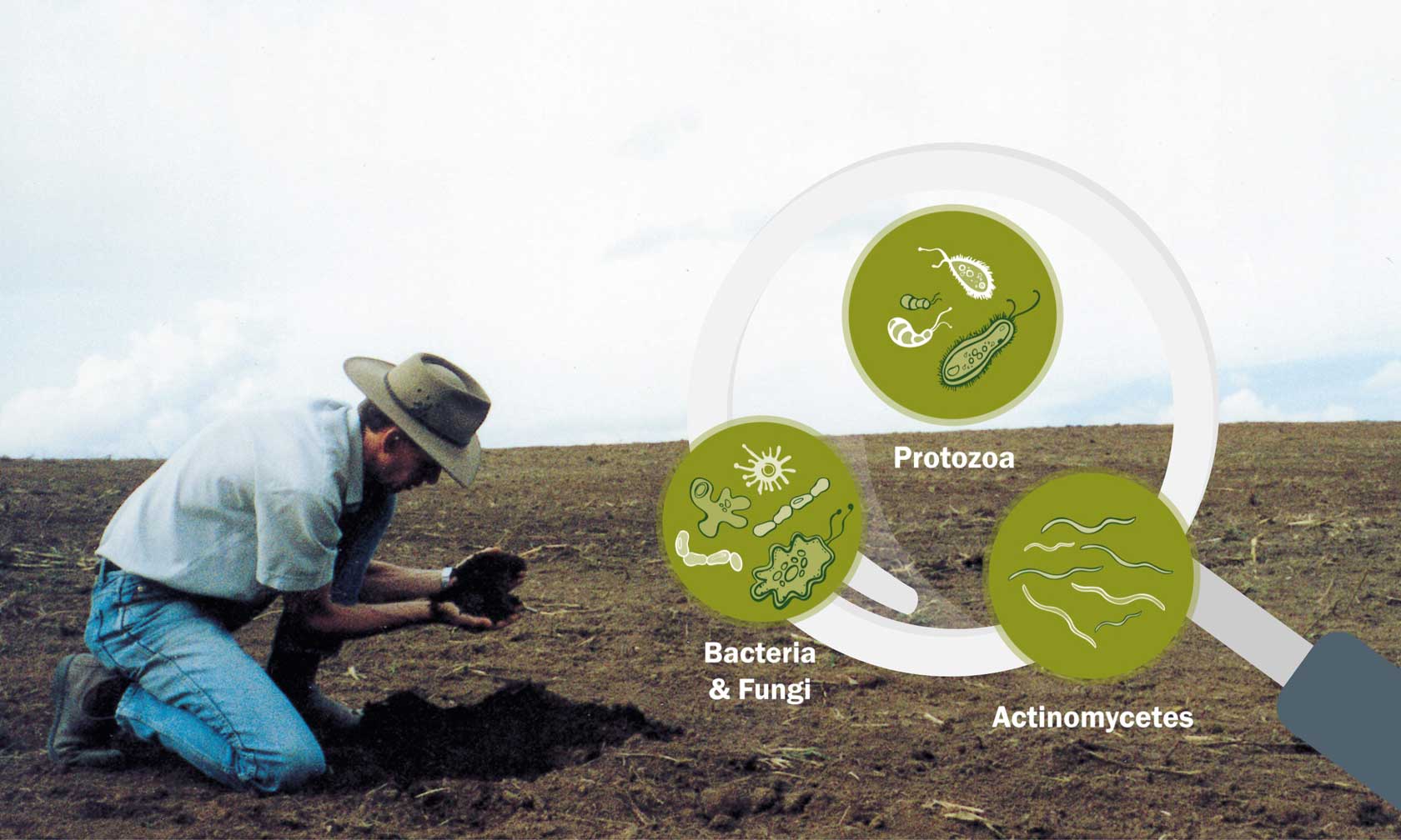 Soil Compaction: Impact on Soil Biology - AgSolutions