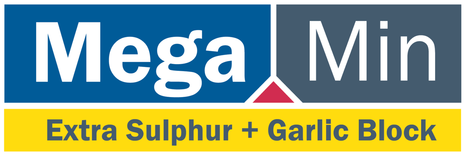MegaMin Extra Sulphur + Garlic Block - AgSolutions