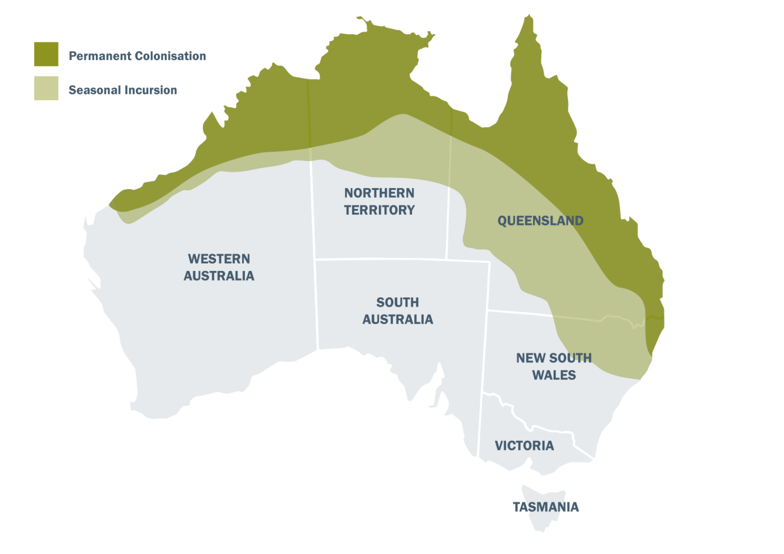 Buffalo Fly Management - AgSolutions